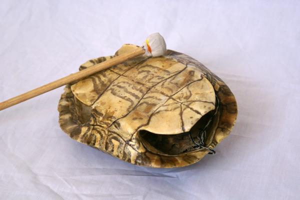 INSTRUMUNDO Instrumentos Musicales: Ayotl, Caparazón de tortuga