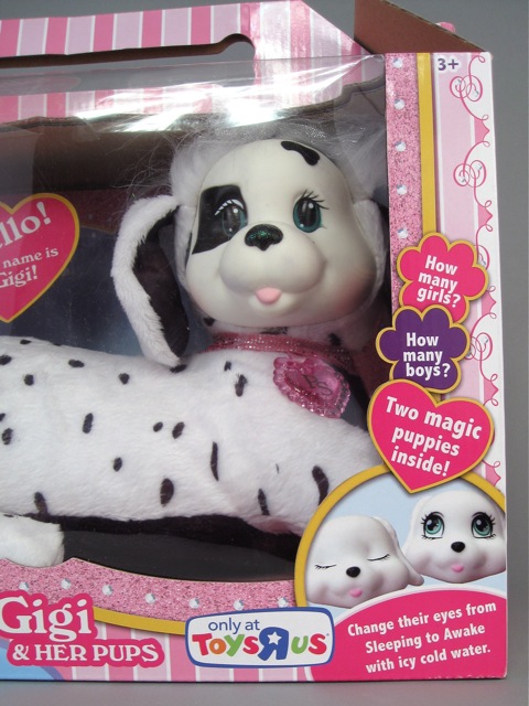 Puppy Surprise Problems | The Toy Box Philosopher