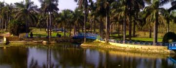 Beautiful pictures gallery : Chaibasa