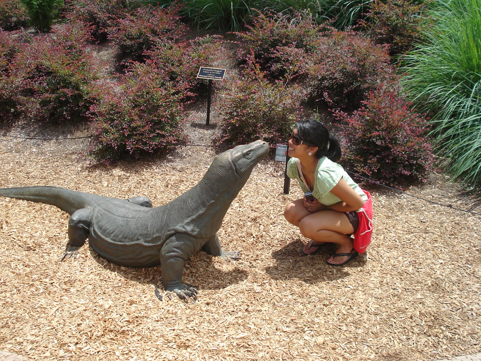 Binatang "Purba" Yang Masih Ada Populasinya di Indonesia ~ [D.O]