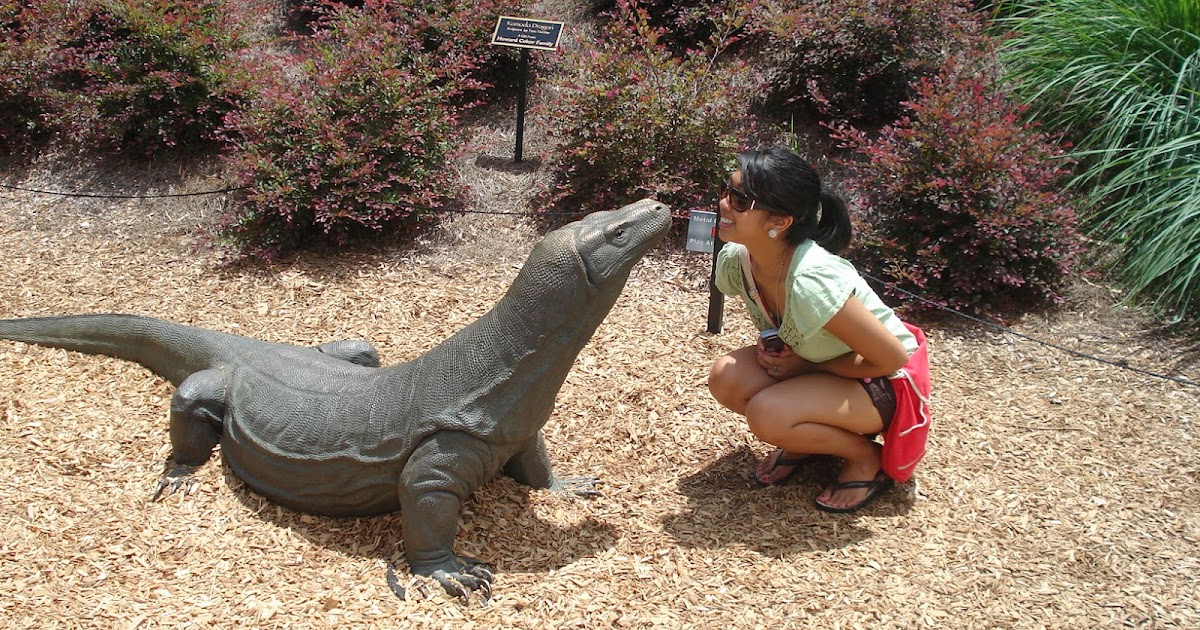 31+ Gambar Hewan Zaman Dahulu