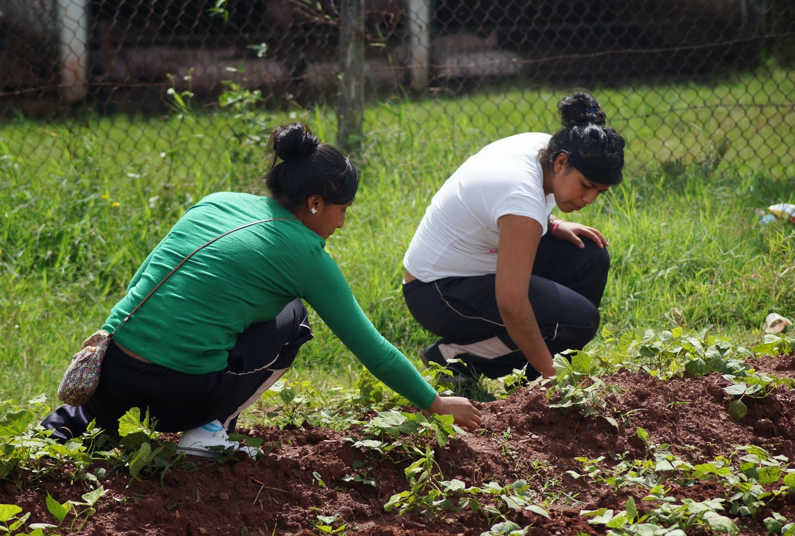 CBTA 180, LUVIANOS, ESTADO DE MÉXICO.: CENTRO DE BACHILLERATO ...