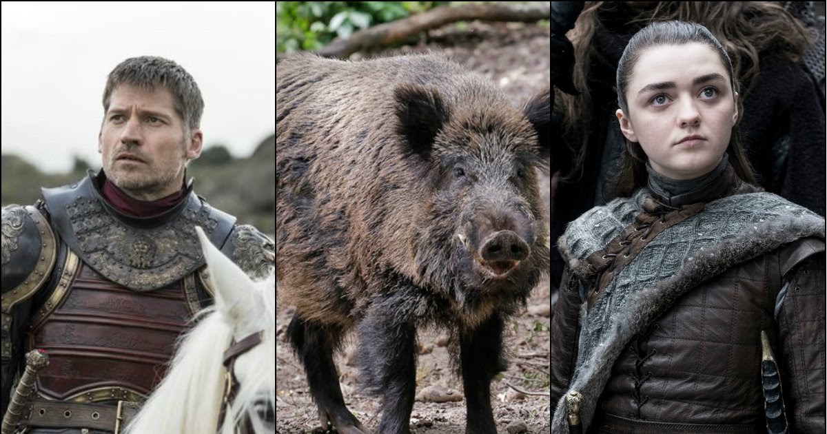 Skip's House of Chaos: The Kingslayer Club Welcomes Its Newest Member