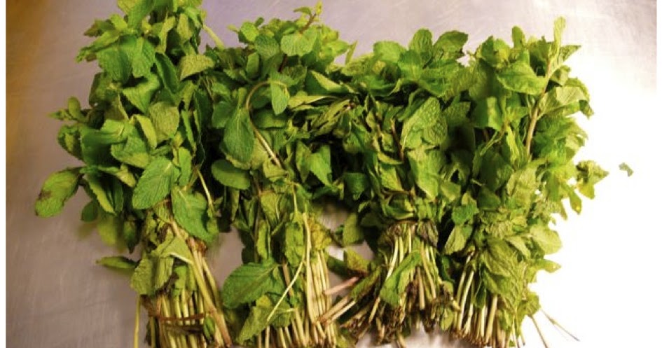 How to prepare mint