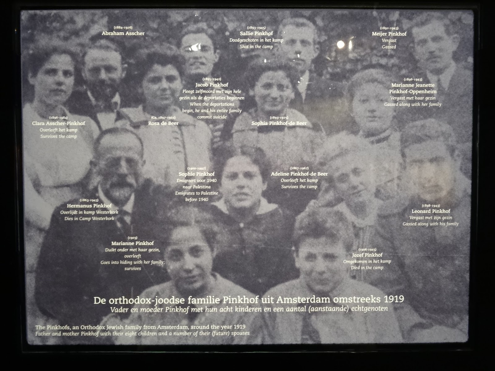 Anne Frank Family Tree