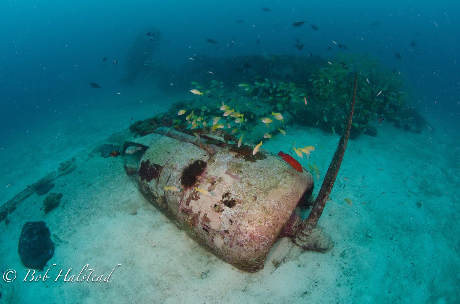 Bob Halstead, the award-winning photographer – WW2Wrecks.com