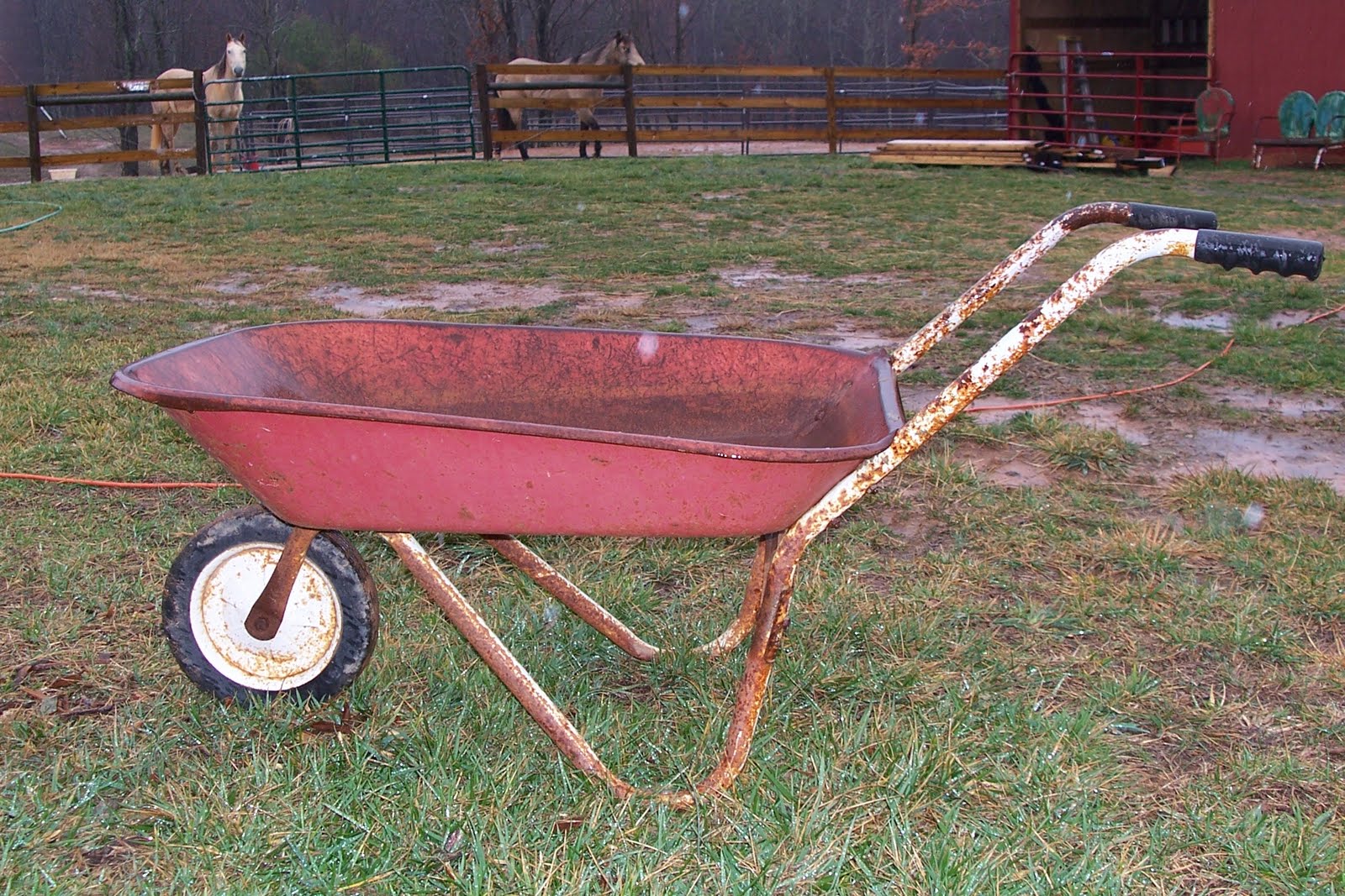 Greener Pastures--A City Girl Goes Country... and goes back again ...