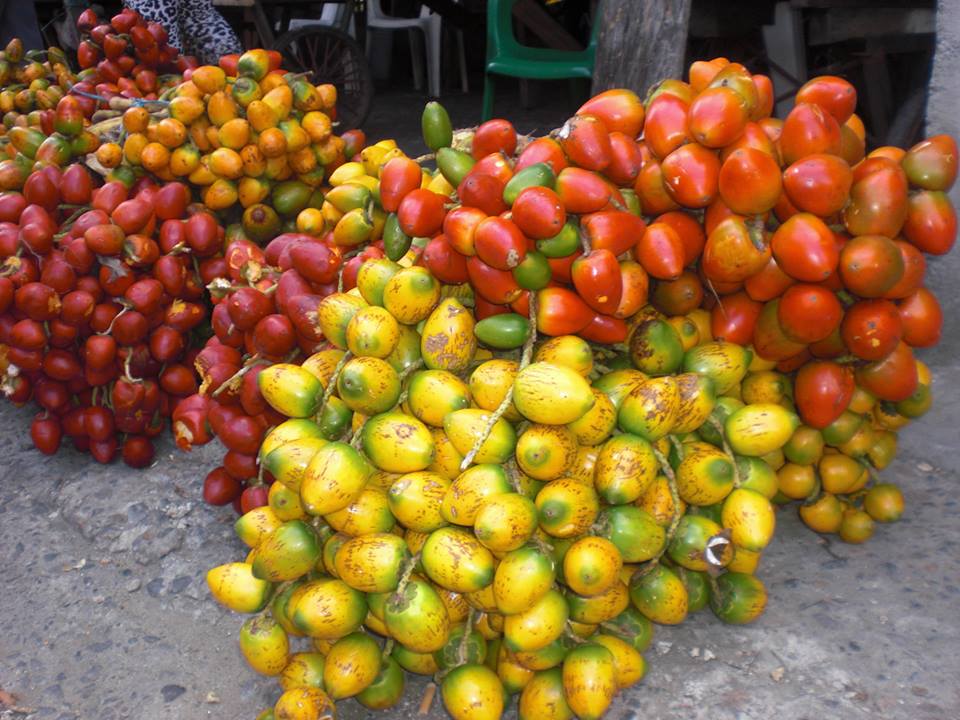 LETRAS Y MAS LETRAS.: El Chontaduro. fruto de una palma en el pacífico ...