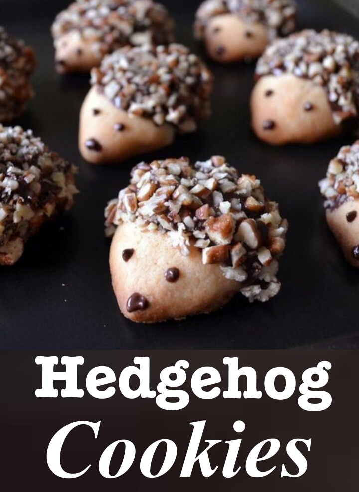 Hedgehog Cookies - BEAN GIRRAS
