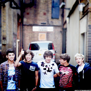 Catherine's blog: Team One Direction