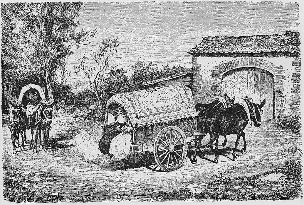 Fotos Antiguas de Mallorca: Postales antiguas de transportes
