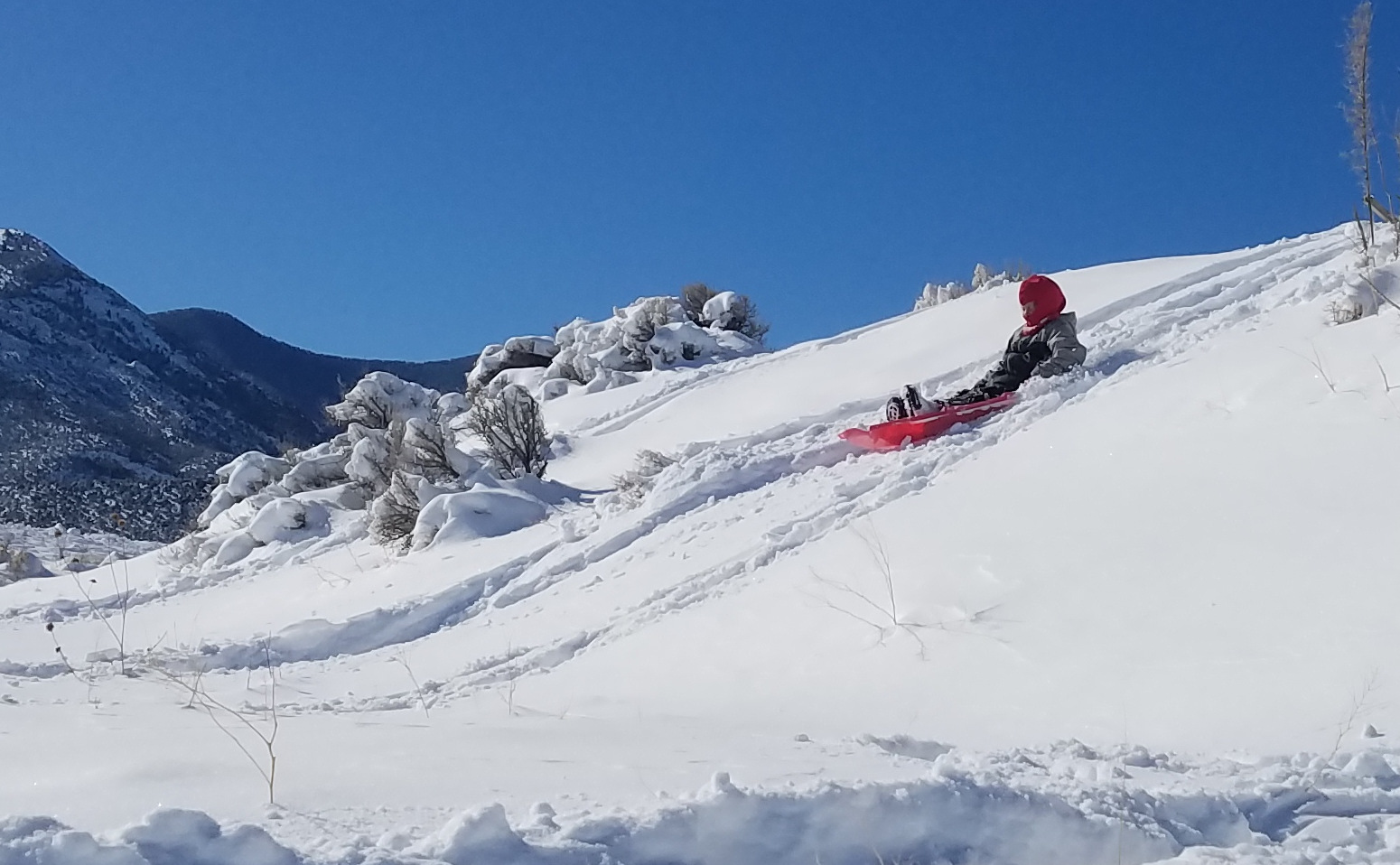 Desert Survivor: Sledding and Skiing after the Storm