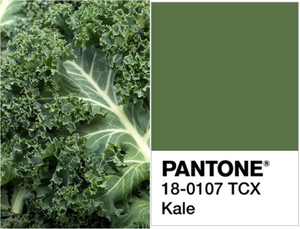 Ana Neuber Design de Interiores: Kale: outro verde da Pantone 2017!