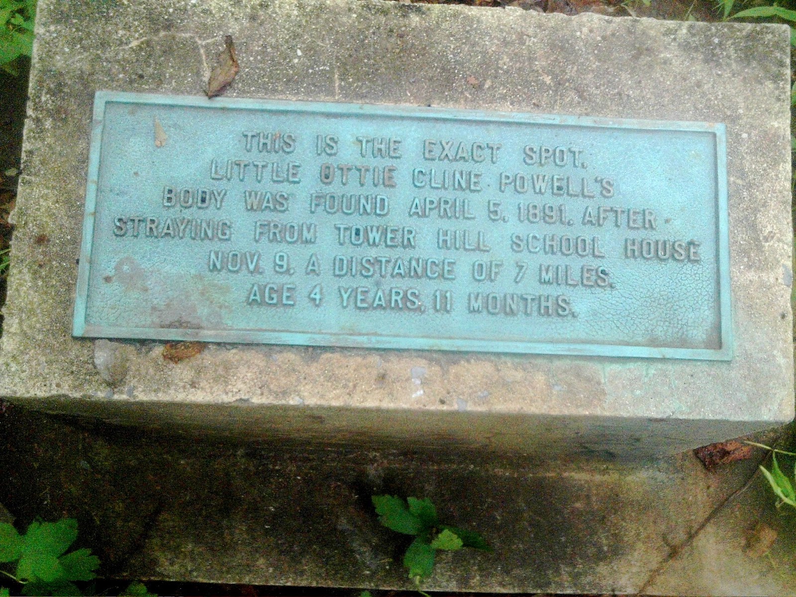 Appalachian Trail Adventures: 2015 - AT Year 6 Section - VA