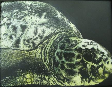 ARTISUN: Scratchboard - Student Work