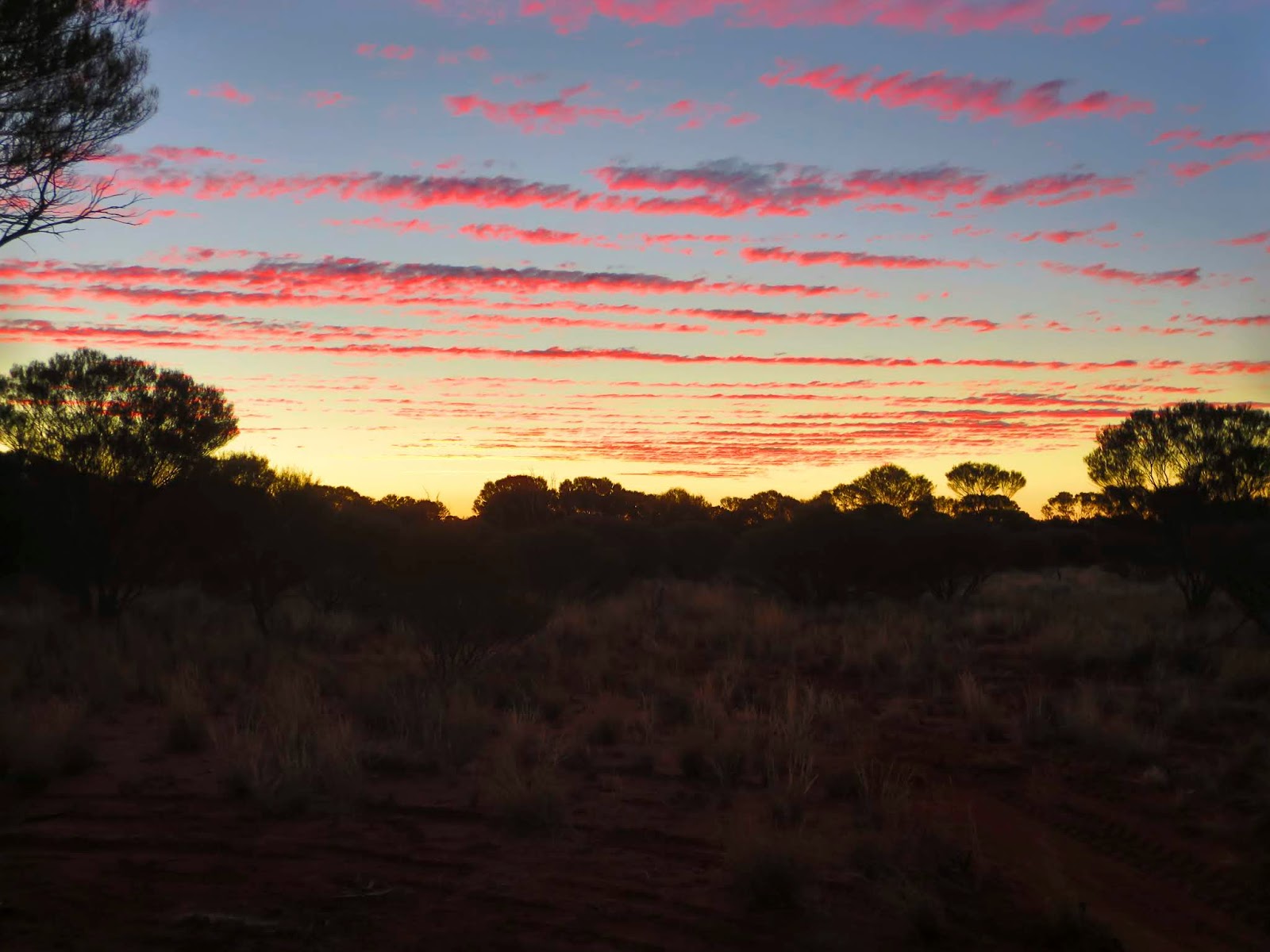 Rhossie Talk: The Longest Shortcut continues.......