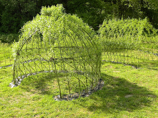 Living Willow Maze at the Wildlife Park in Cilgerran, Pembrokeshire.