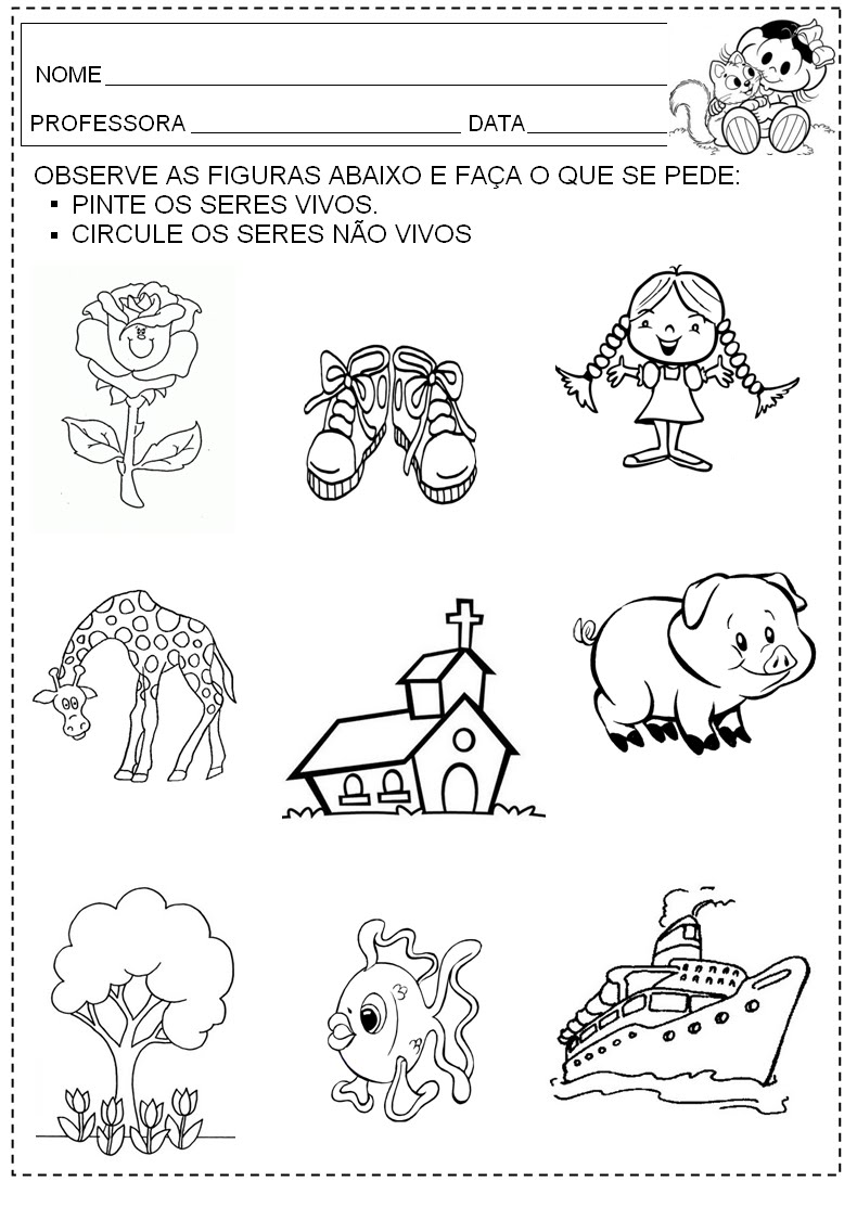 Atividades Seres Vivos E Não Vivos 2 Ano - Cultura Notícias