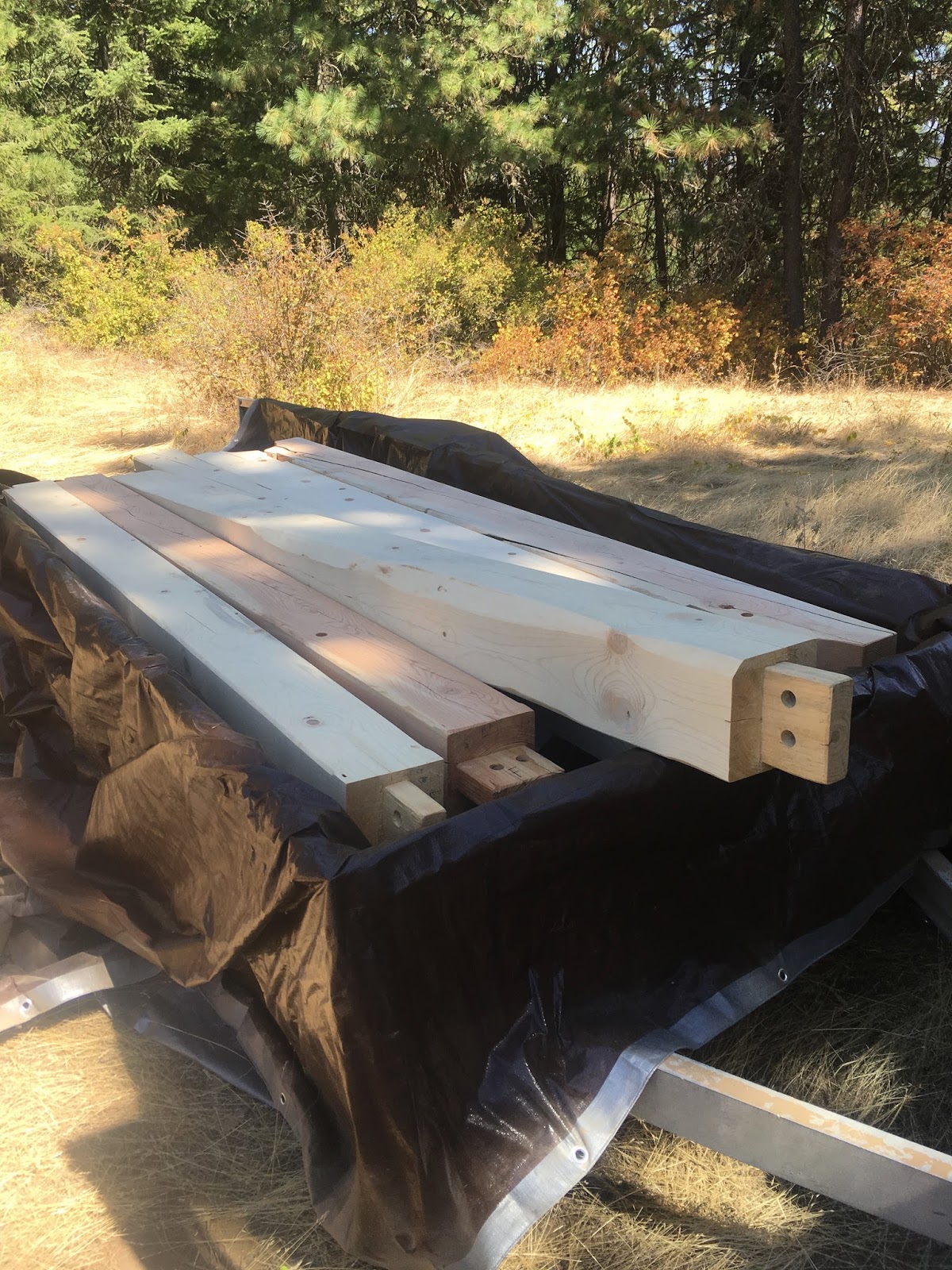 Timber Framing a North Idaho Cabin