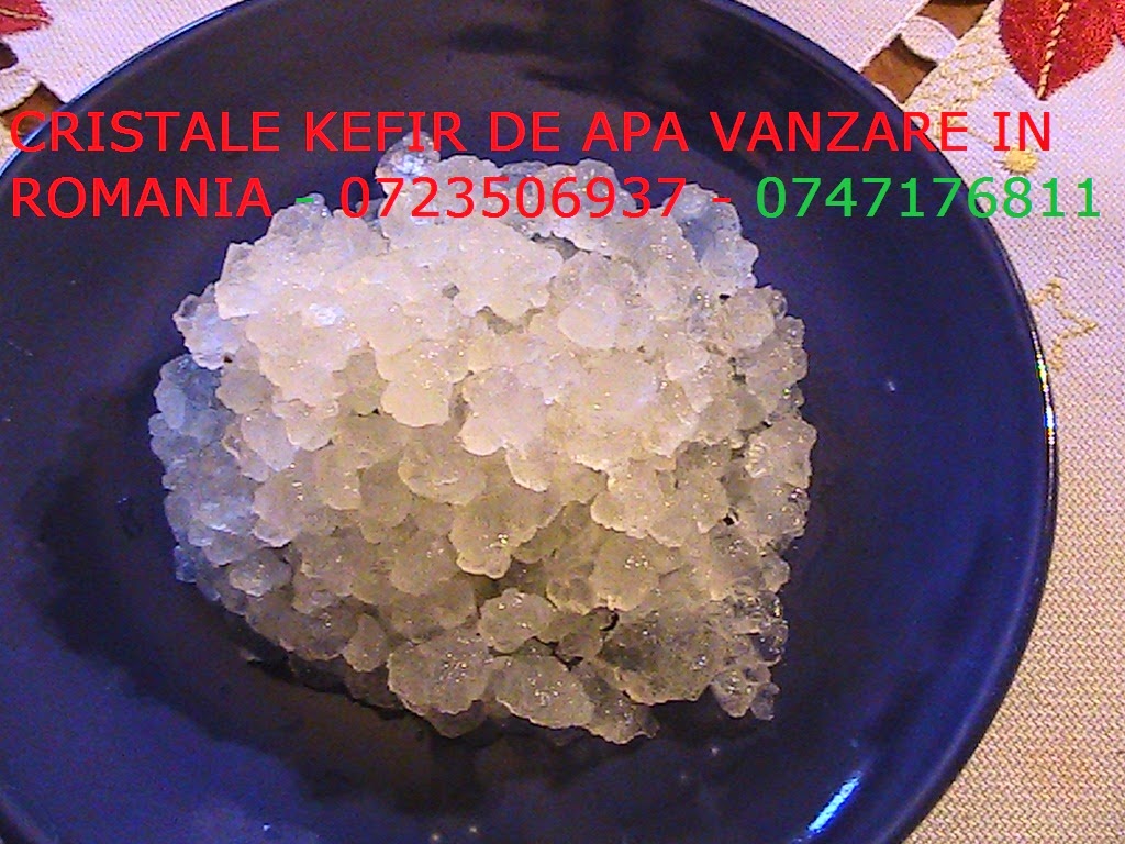 CRISTALE JAPONEZE CHEFIR BIO KEFIR DE APA ROMANIA