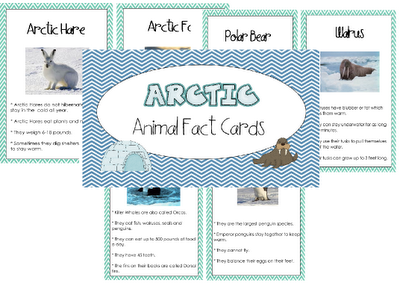 Teaching is Colorful: Arctic Cards Freebie