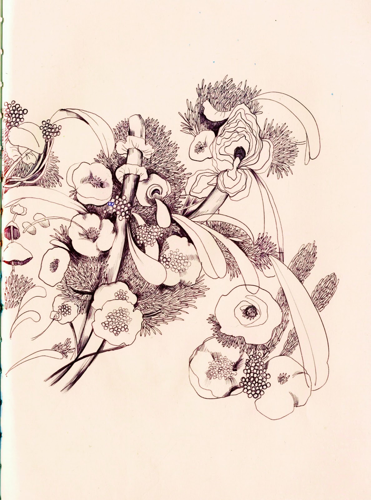 Fay Huo Illustration: continue to draw weird plants