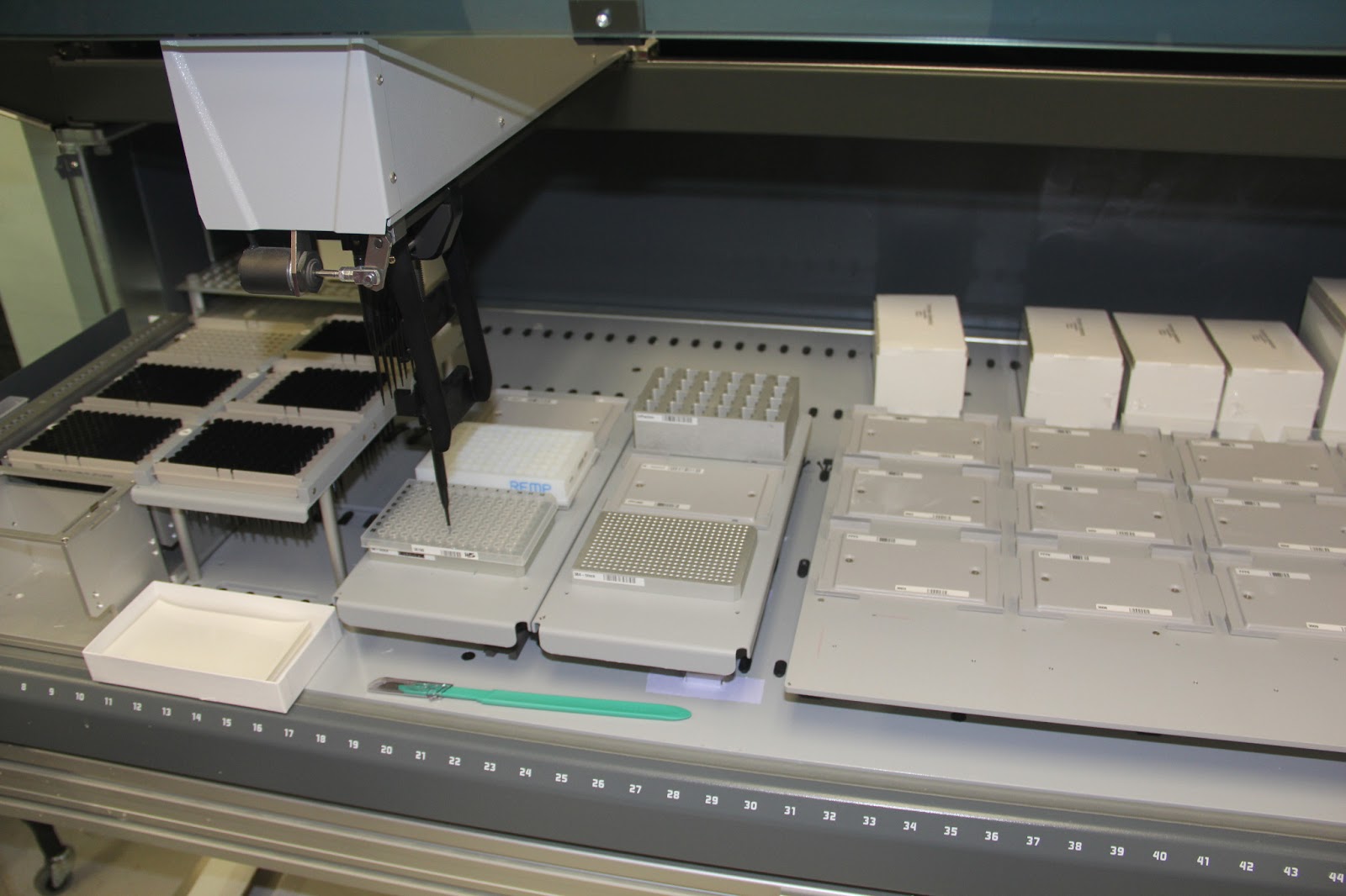 Your Genetic Genealogist: A Visit to Family Tree DNA's State-of-the-Art Lab