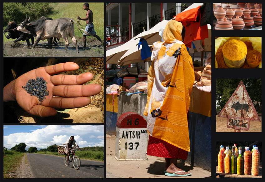 Madagask' Art: BIENVENIDOS, TONGA SOA,