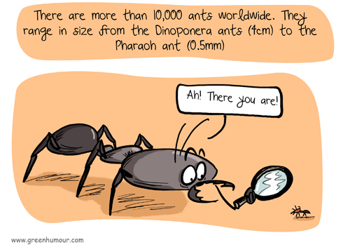 Green Humour: Ant cartoons for Arastirmaci Cocuk Merkezi