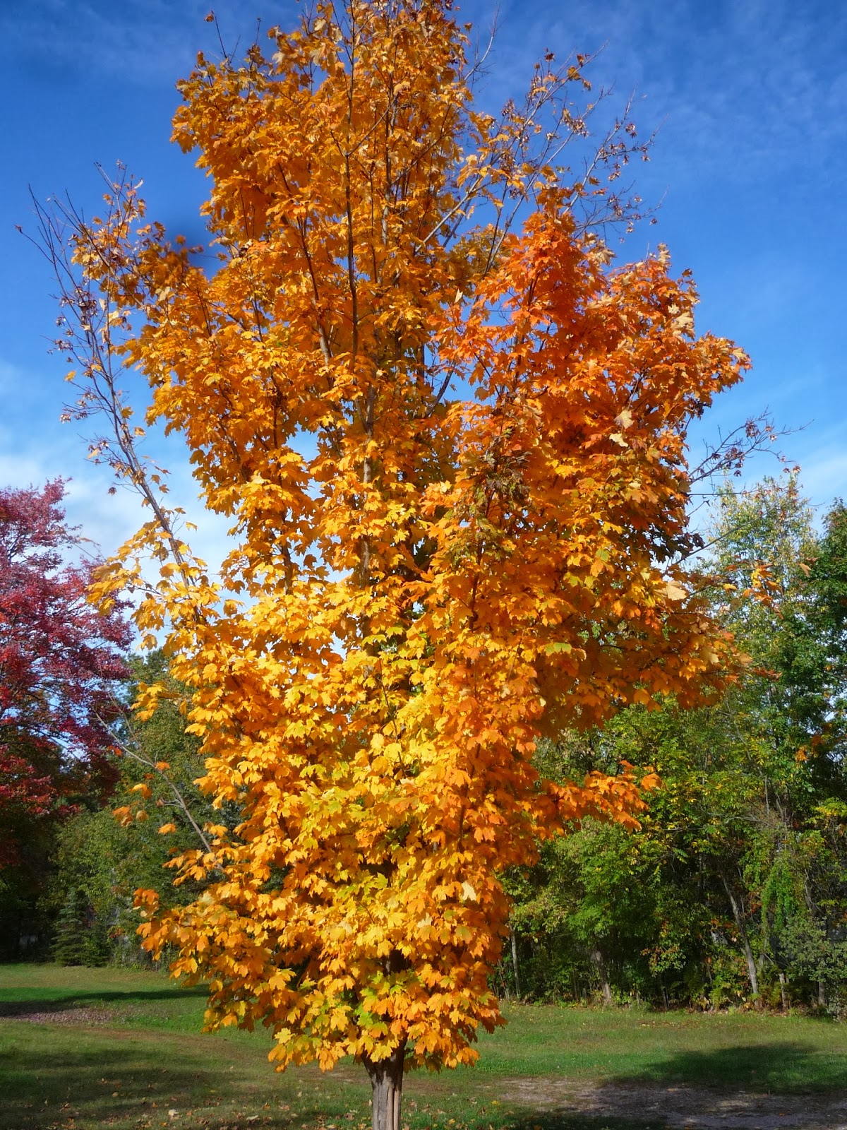 Vermont Foliage Photos. October leaf peeping. South Burlington, Vermont ...