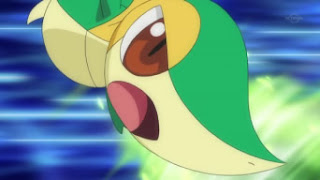 Pokémon Era Black: BW Attack Dex: Snivy