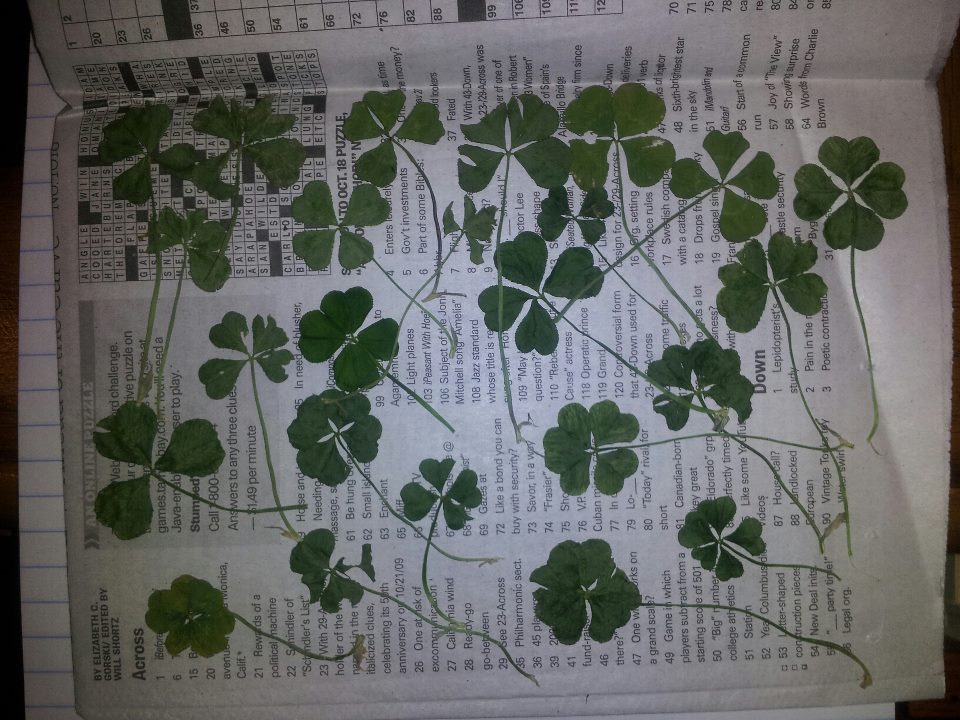 Building Builders!: March 2012