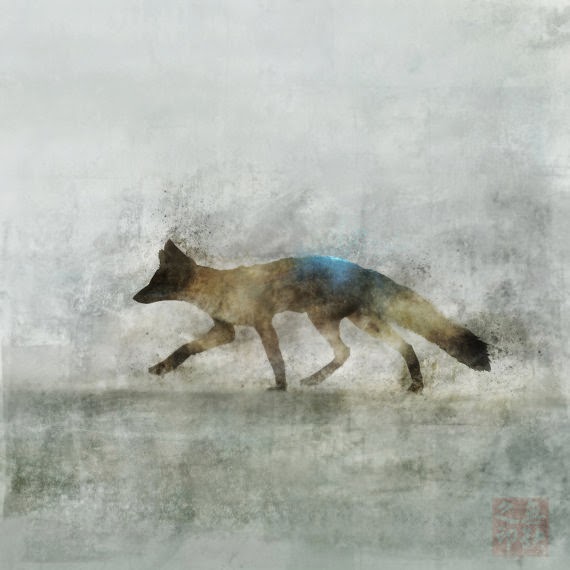 Art Propelled: FOX
