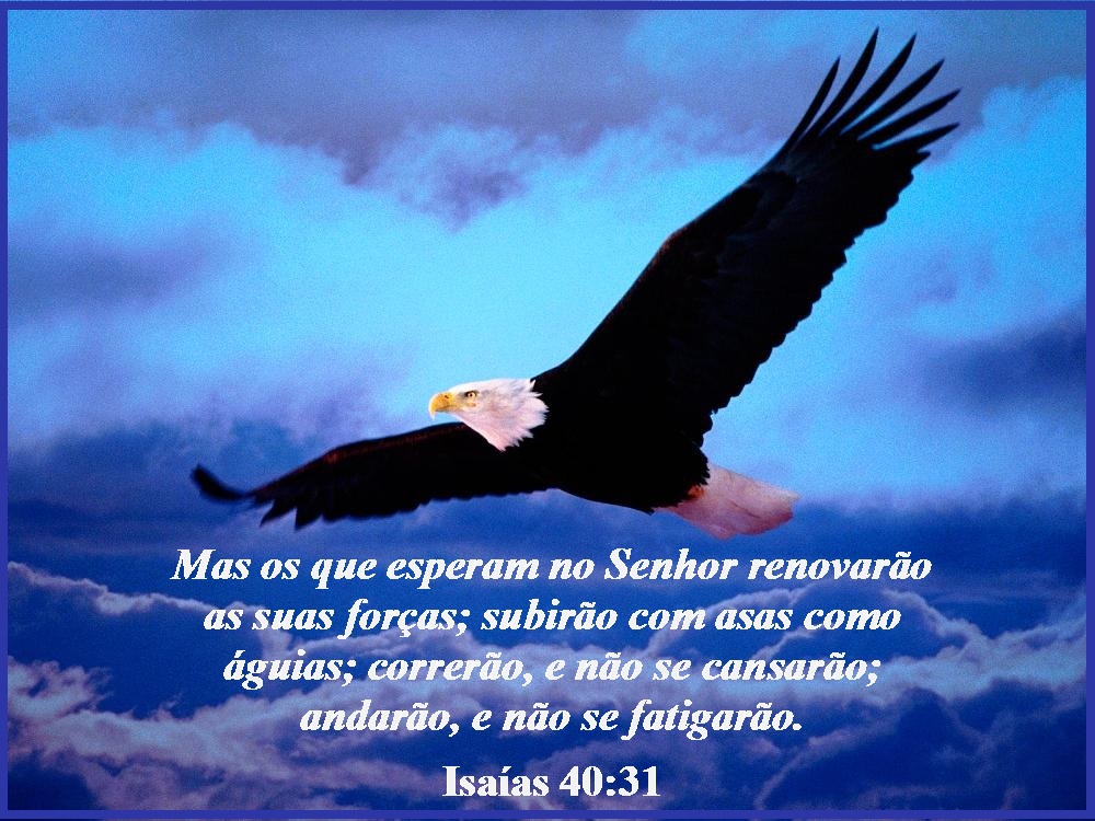 LPAC - LIBERTOS PELO AMOR DE CRISTO: 478 - (Isaías 40:29-31) - SOMENTE ...