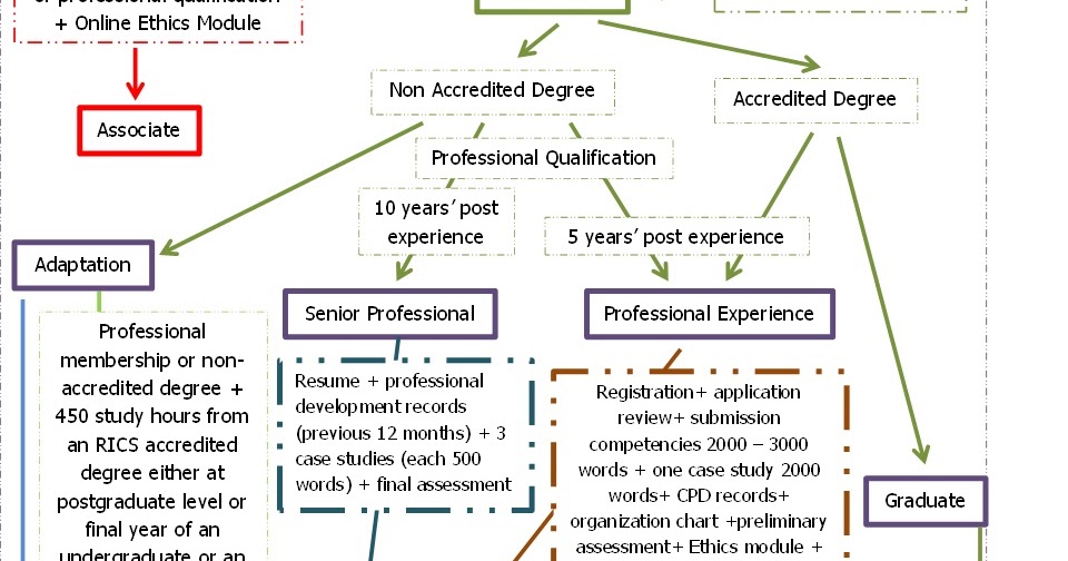 Rics Requirements And Competencies Guide - Tanya Tanya