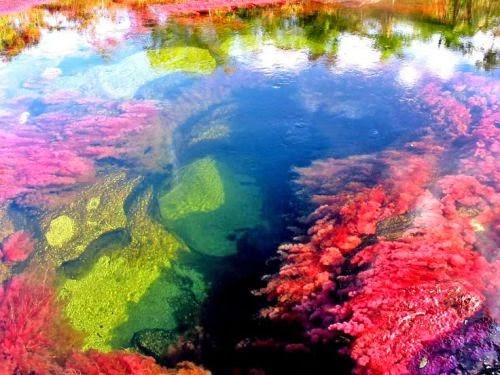 The Culture Ghost: Beauty of liquid rainbow Colombia -The River of Five ...