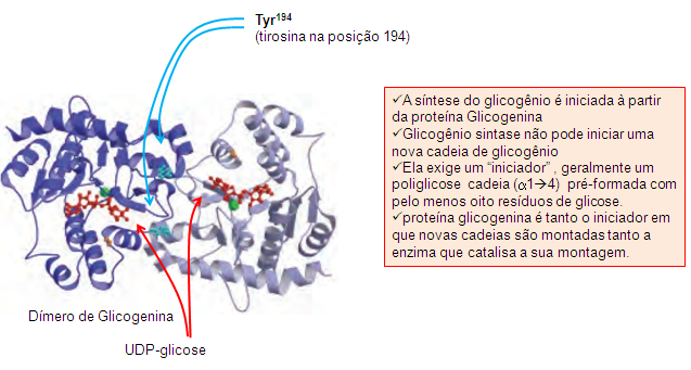 Bio Química UFAL: Aula - 05