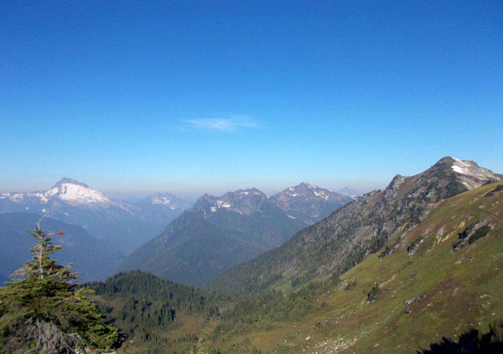 Ingrid on the PCT: Washington Section E: The Dinsmores / Stevens Pass ...