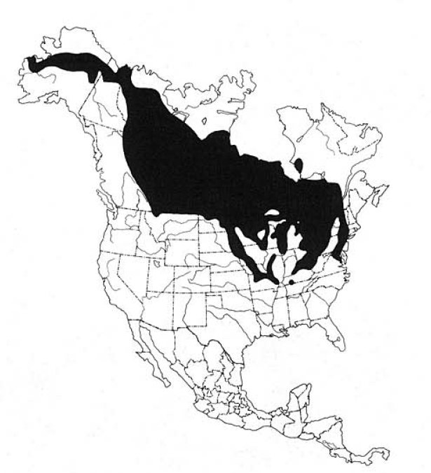 Virginia Tech Ichthyology Class : November 2015