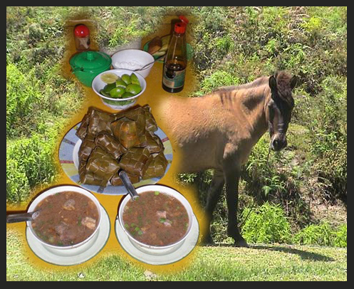 Anak Makassar Bisa Tonji: COTO KUDA (JENEPONTO)