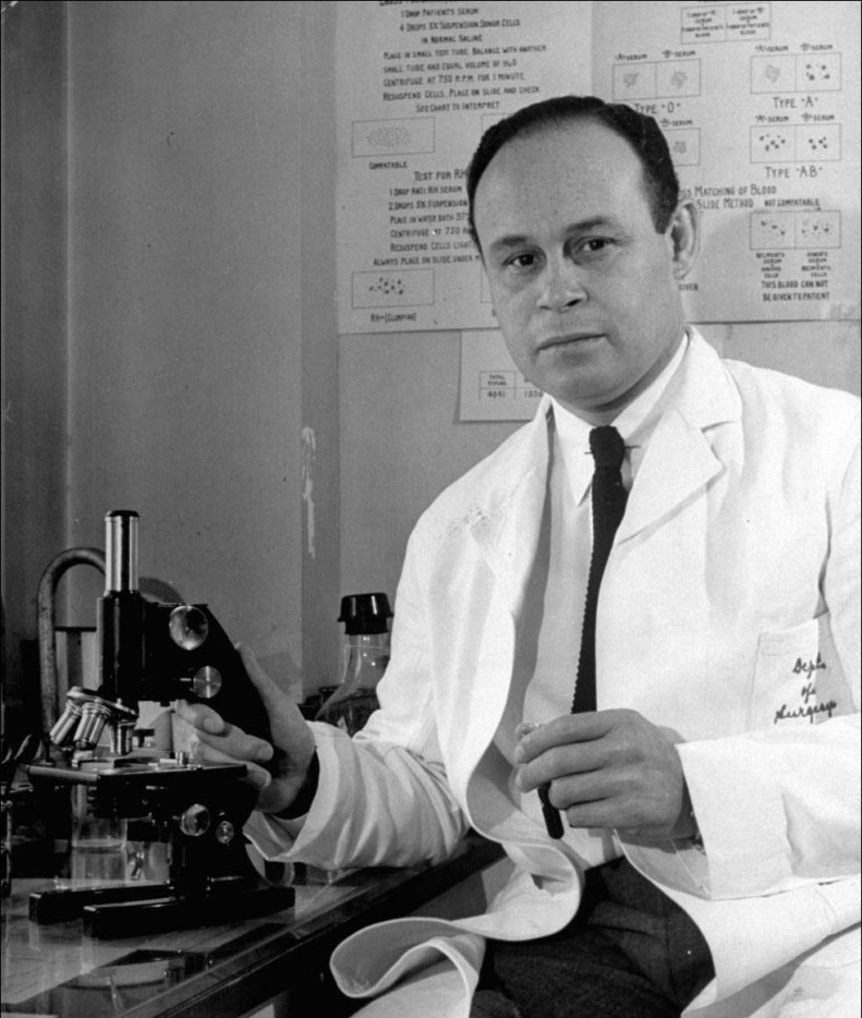 Office of the President: Wildcat Dreams, Vol. 2, No. 10