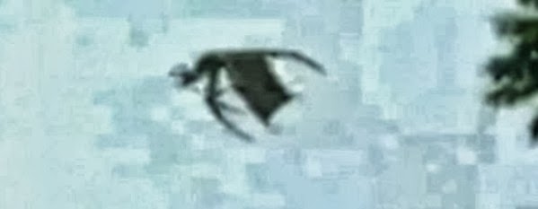 Brazil Weird News: Gargoyles at Chile e Puerto Rico - New sightings and ...