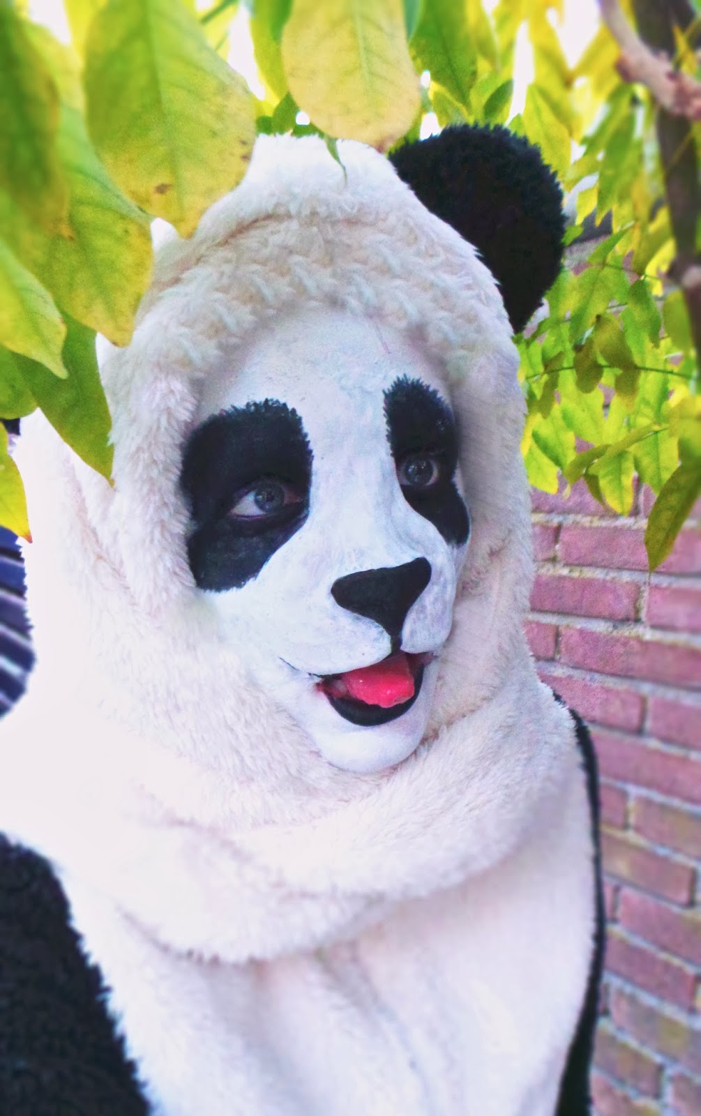 Make-up, Grime en fotografie: Panda beertje