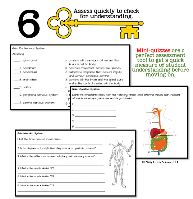 Nitty Gritty Science: Keys to a Successful Science Interactive Notebook