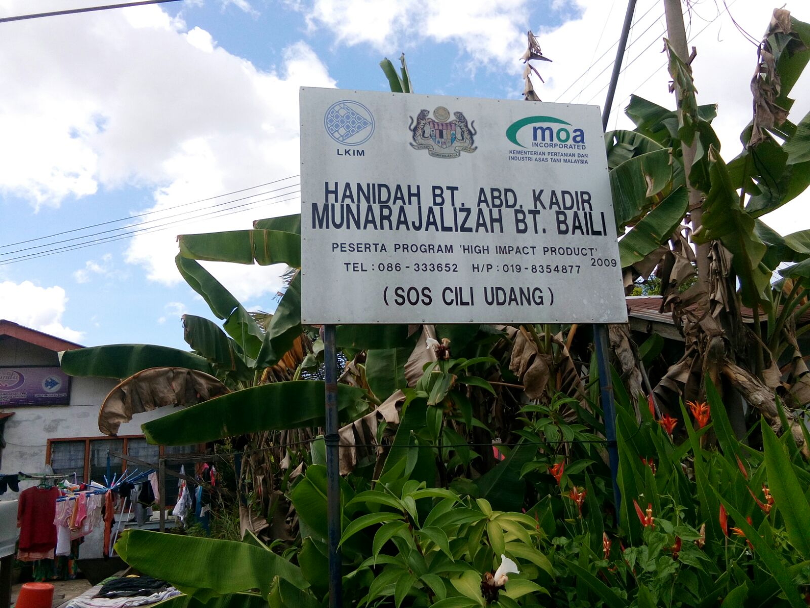 Latar Belakang Usahawan | SOS CILI UDANG SESAR UNJUR G9