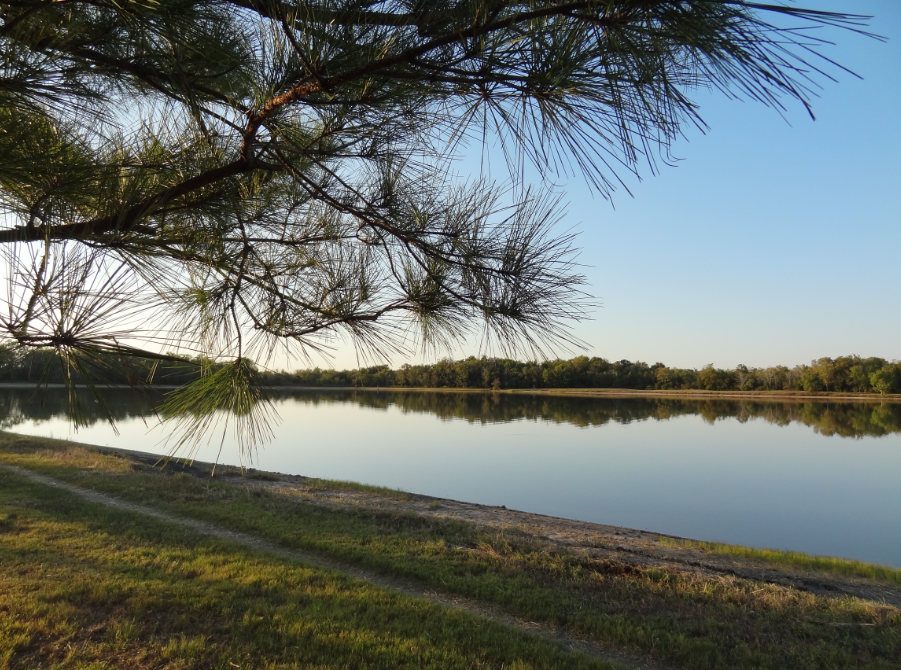 H-Town-West Photo Blog: Scenic lakeside views at George Bush Park