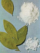 Las Drogas Duras: Cocaína: Un riesgo para la salud