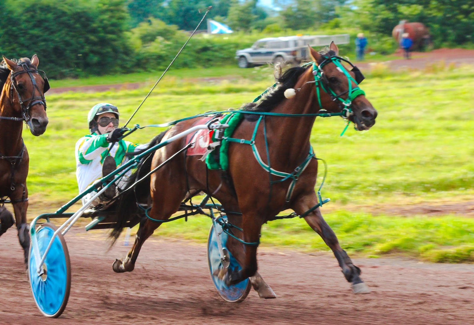 Harness Racing in the UK: 2017 Season: Week 12 - Corbiewood, Tir Prince ...