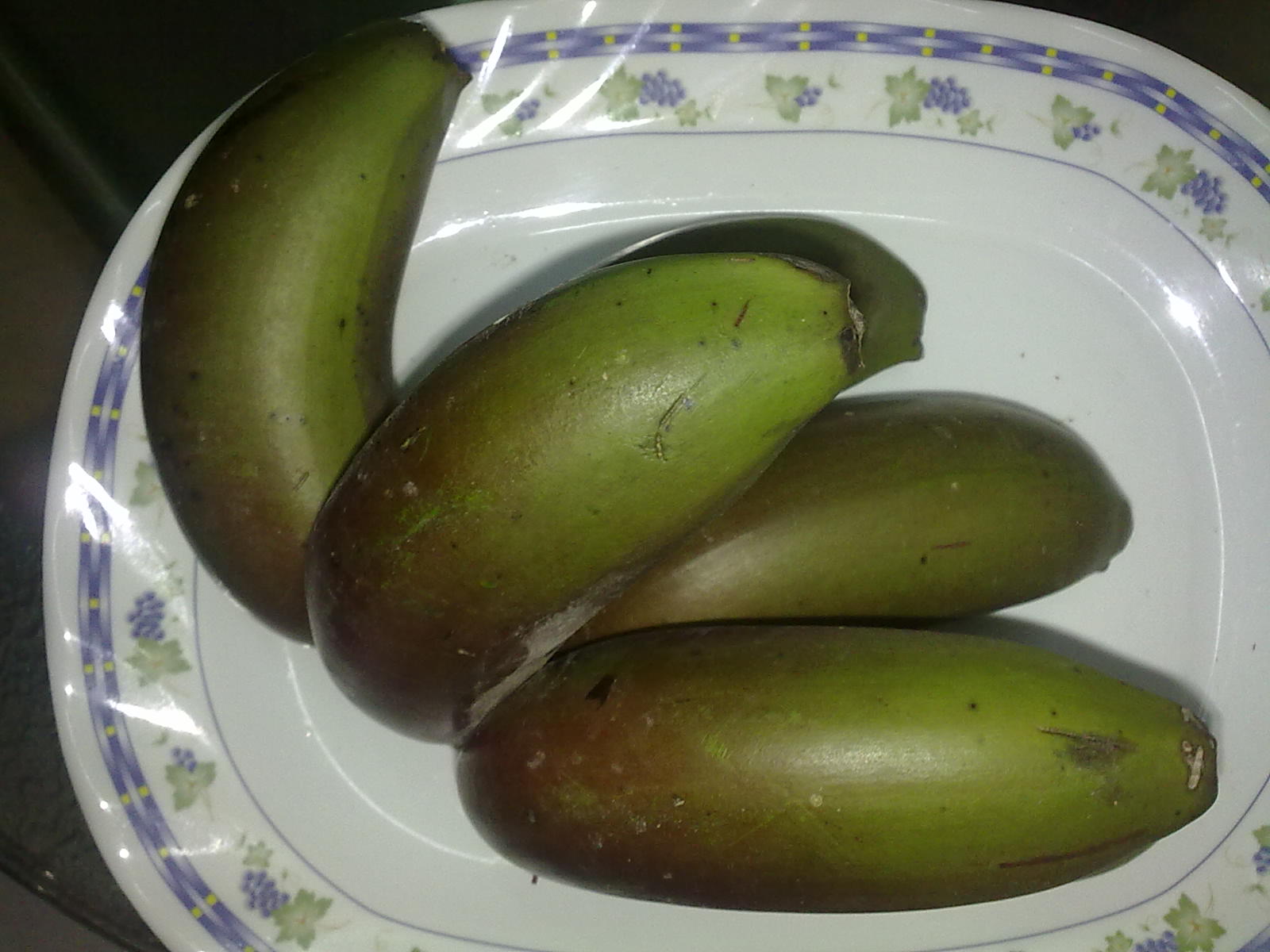 Manfaatkan masa menghasilkan kemanfaatan: Pisang Raja udang, Pisang rastali