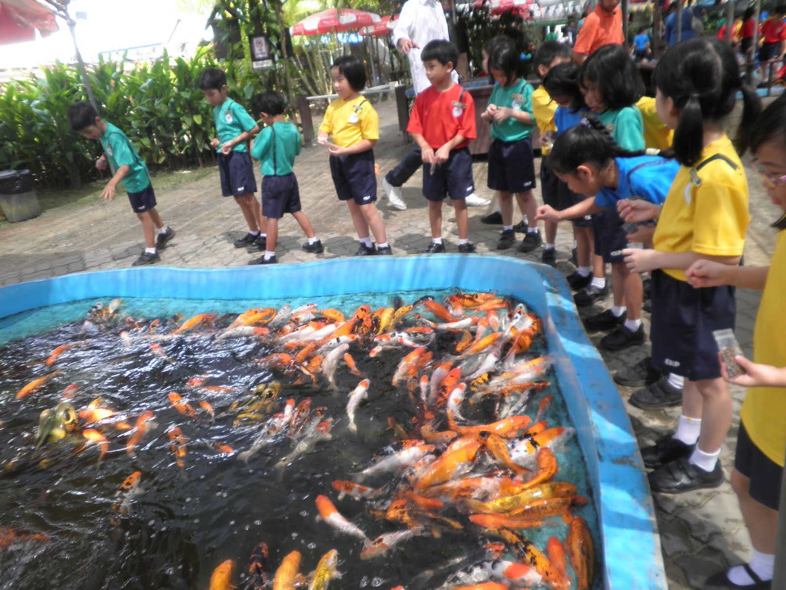 hst: Pasir Ris Kids Kampong